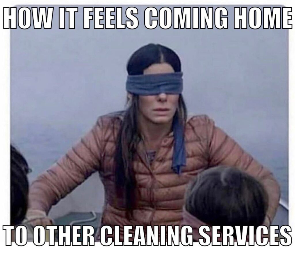 19 Domestic cleaning memes to brighten your day - Astraea Cleaning ...